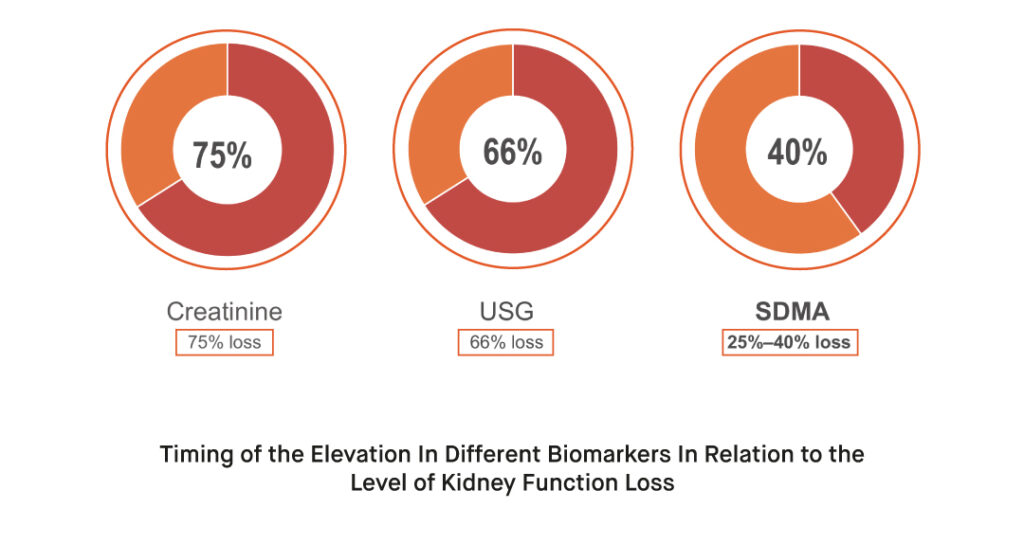 What Is Symmetric Dimethylarginine (SDMA) and How Is the SDMA Test Used ...